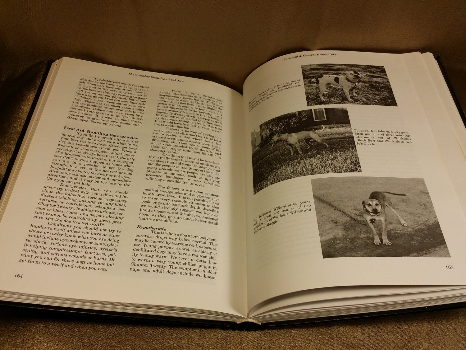 The COMPLETE GAMEDOG :A Guide to Breeding and Raising the American Pit ...